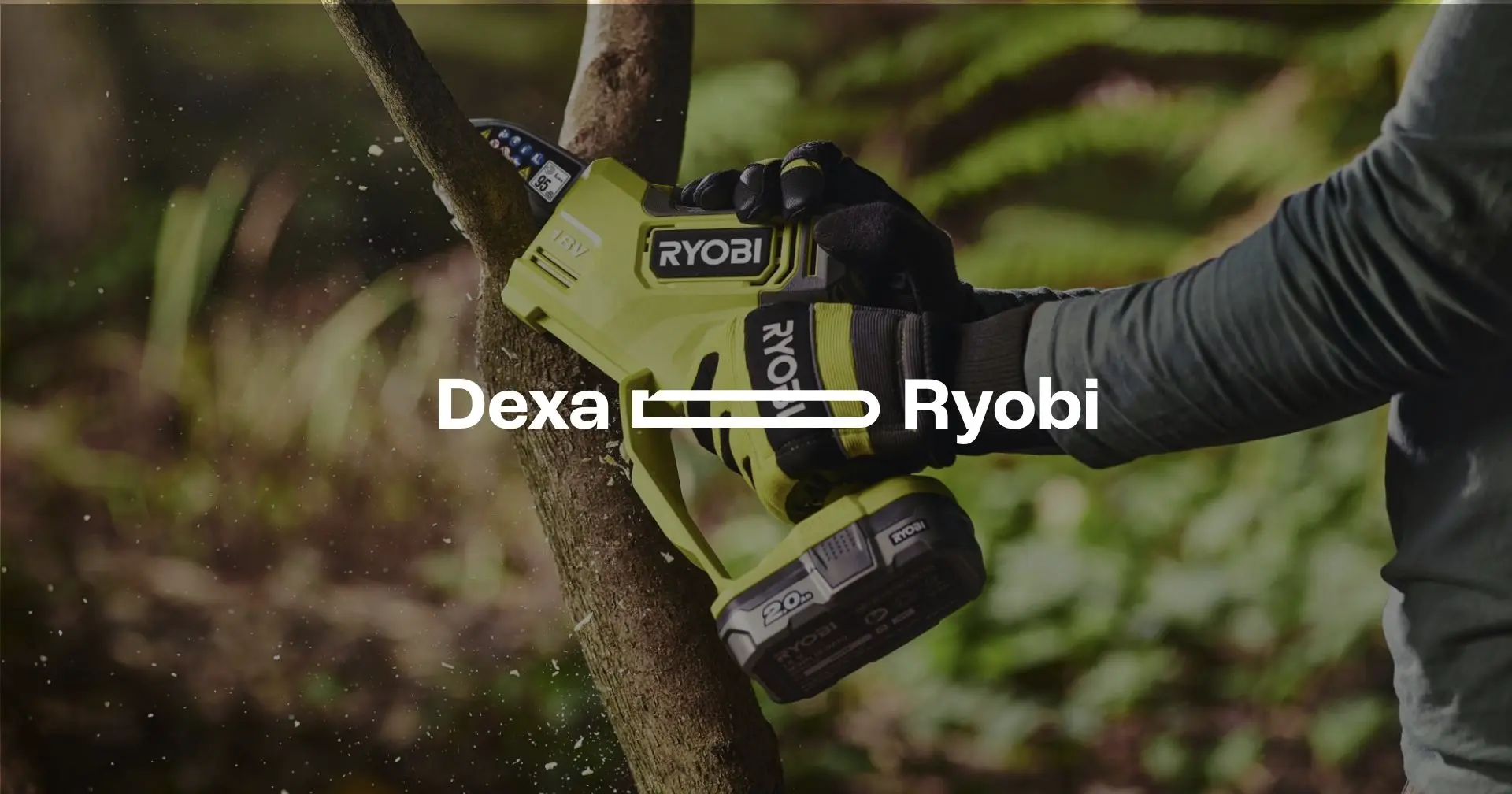 Campagne pubblicitarie per Ryobi: notorietà a prova di social | Dexa